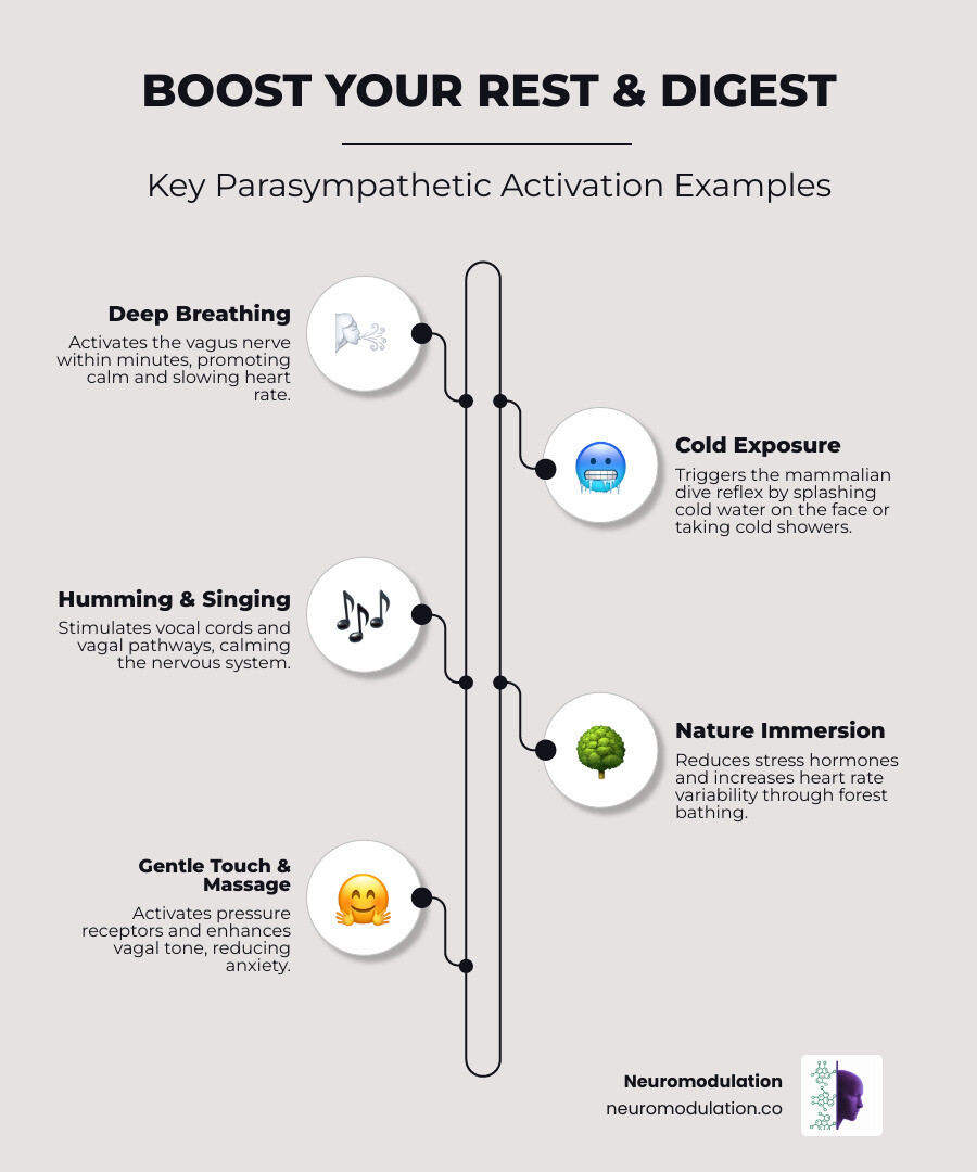 Parasympathetic nervous system activation examples: Top 10