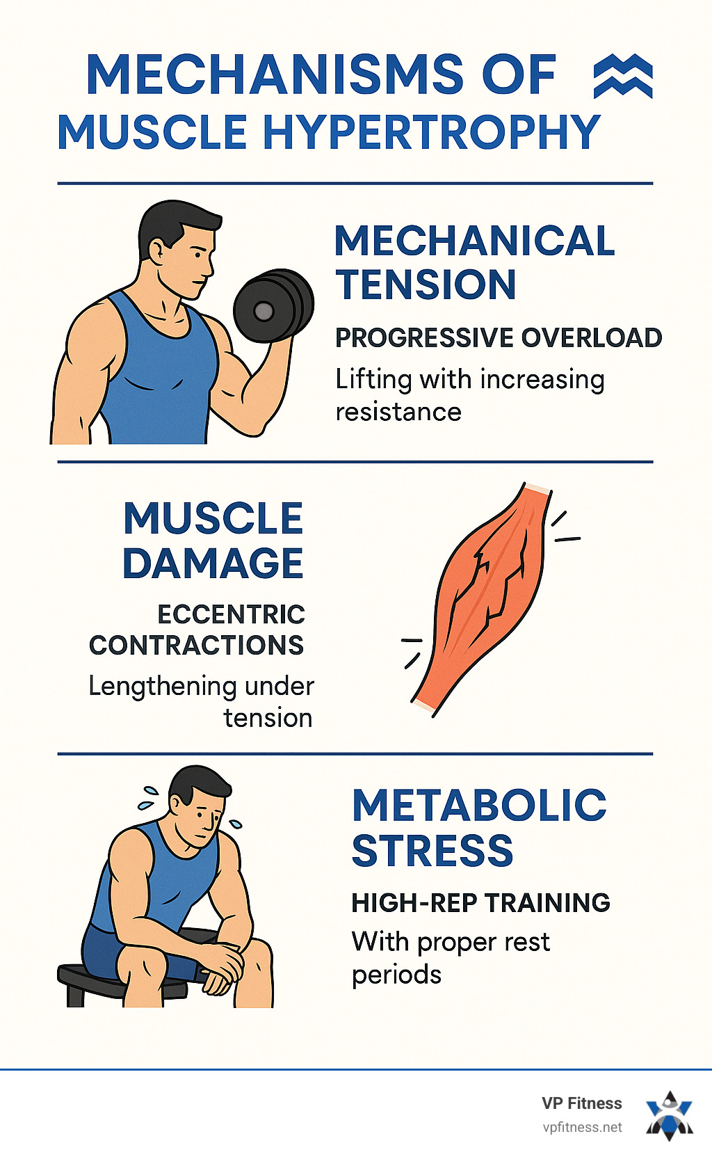Best muscle exercises: Unlock 3 Core Strengths