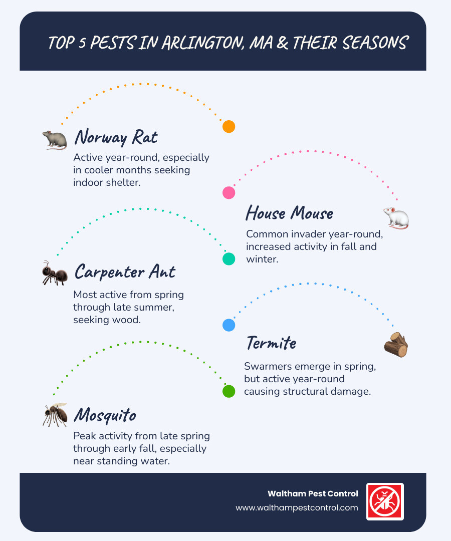 Arlington Pest Control: #1 for a Pest-Free Home