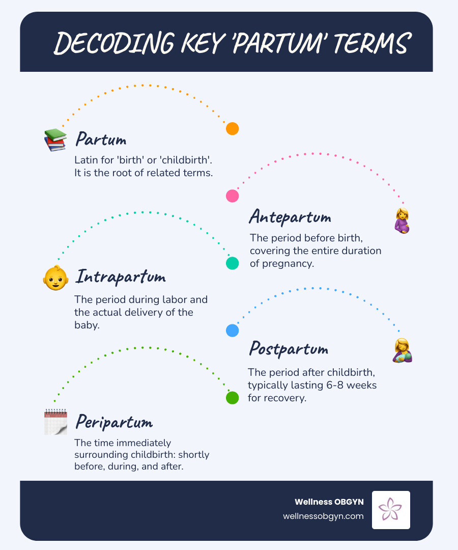 Partum Meaning: 3 Stages, Empowering Parents