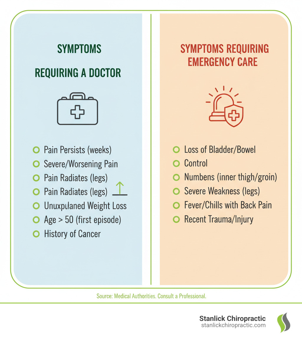 Back Pain Relief: 7 Simple Steps to End Pain