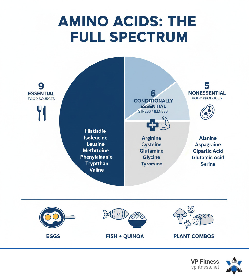 Essential amino acids: 9 Powerful Benefits