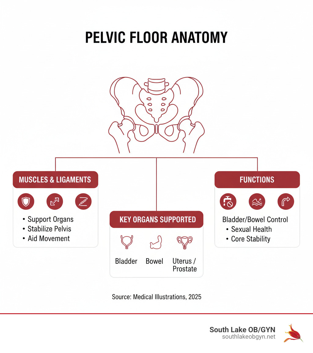 Pelvic floor therapy Clermont: Ultimate 1st Step to Wellness