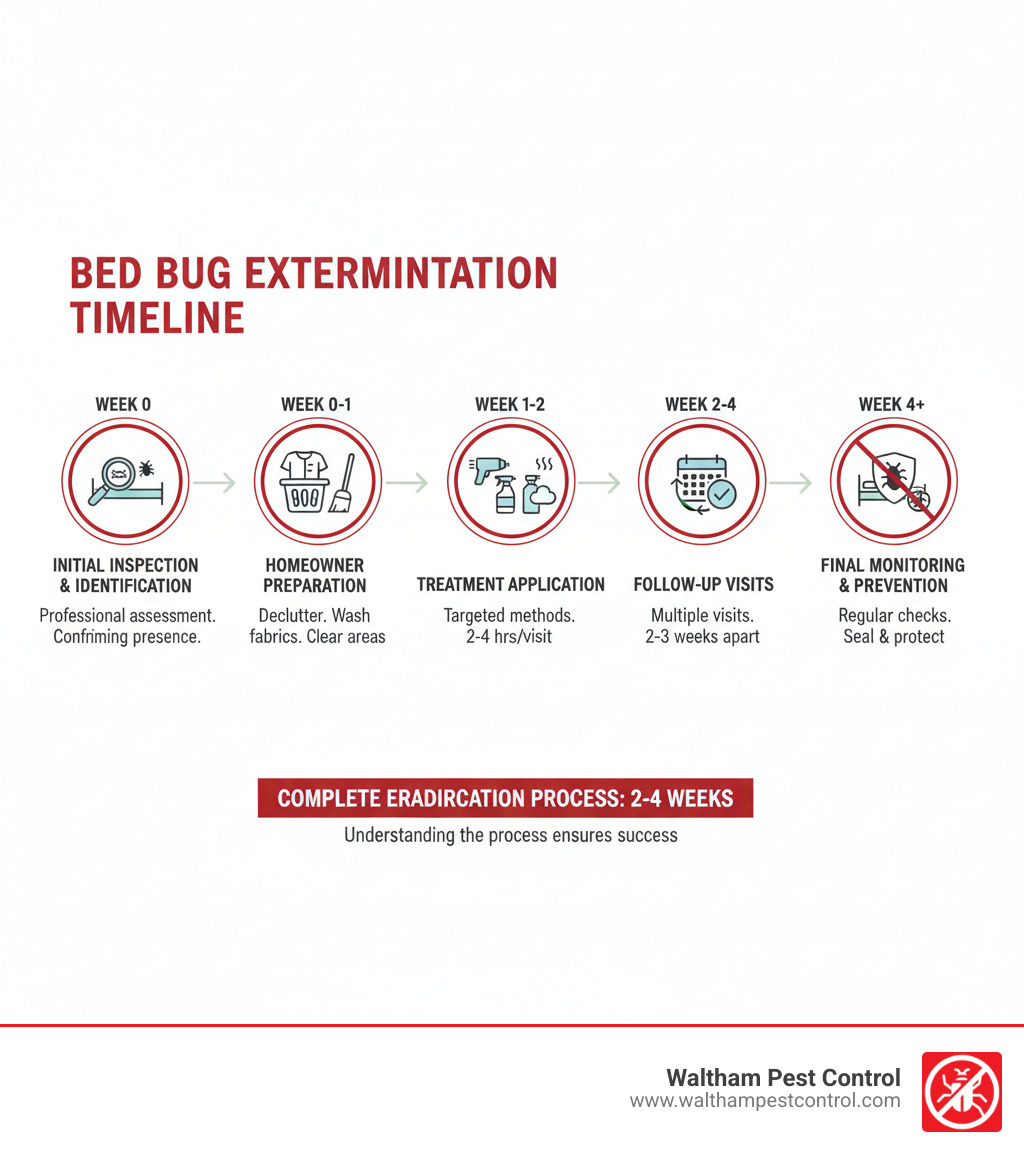 What happens when an exterminator comes for bed bugs 2025: Solved
