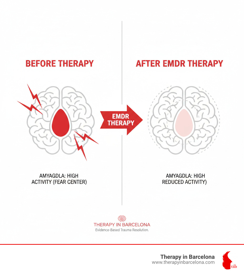 Beyond the Blinks: Demystifying EMDR Therapy for Adults - Therapy In ...