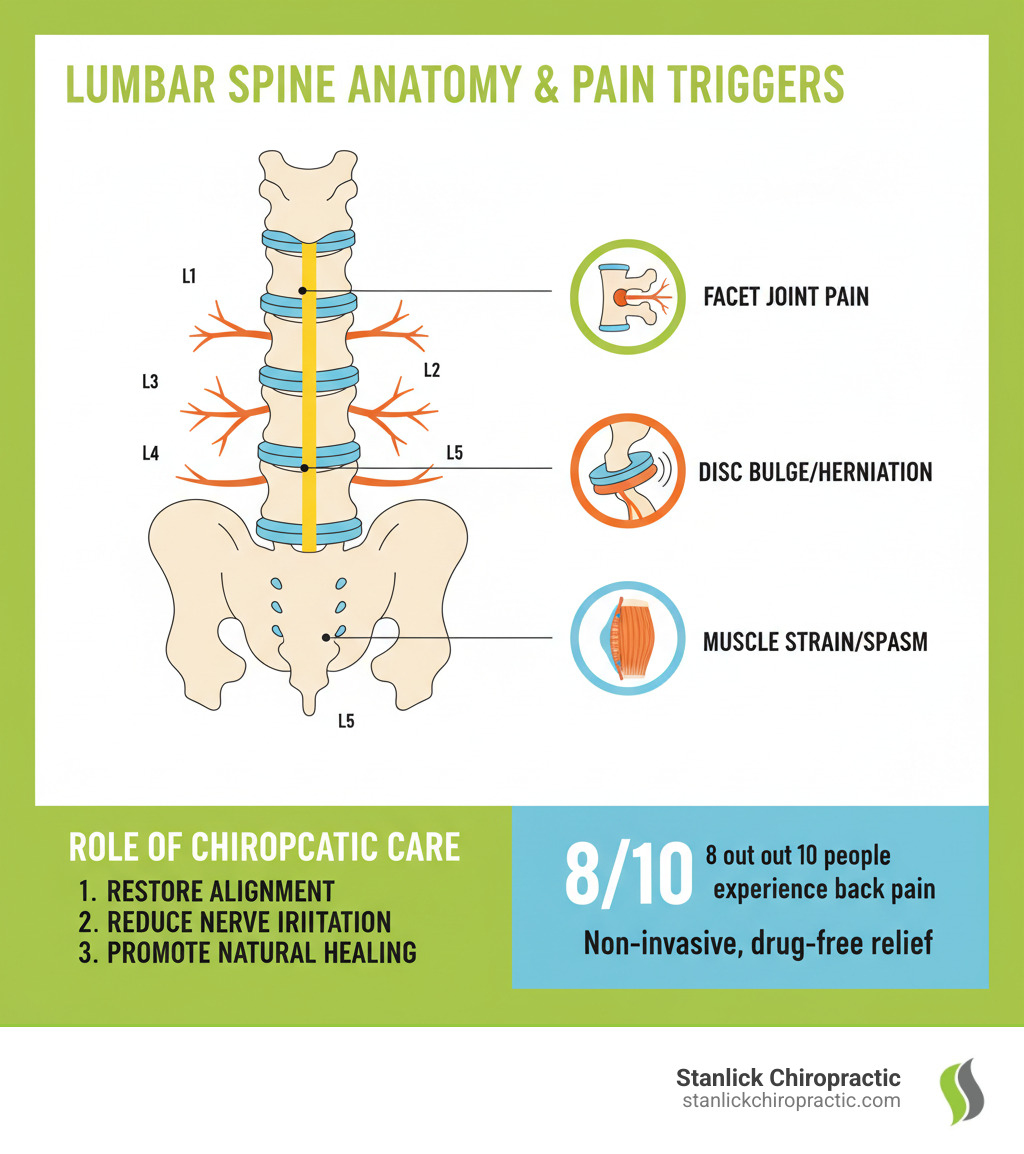 Chiropractor for Lower Back Pain: Ultimate 2025 Relief