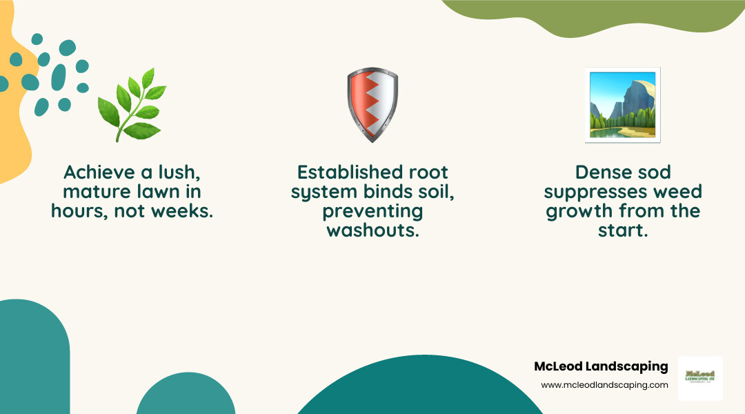 Lawn Sodding Near Me: Top 3 Perfect Lawns