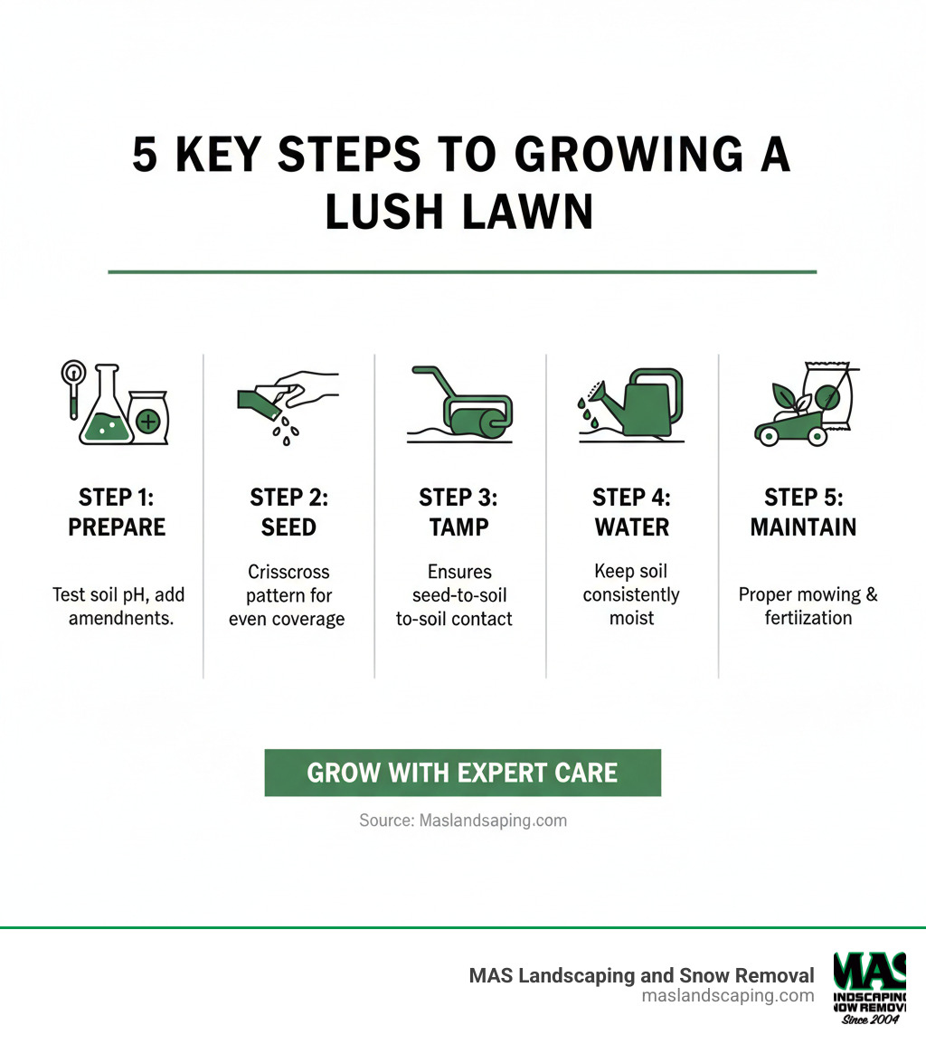 How to Grow Grass: Best 5 Ultimate Secrets for 2025
