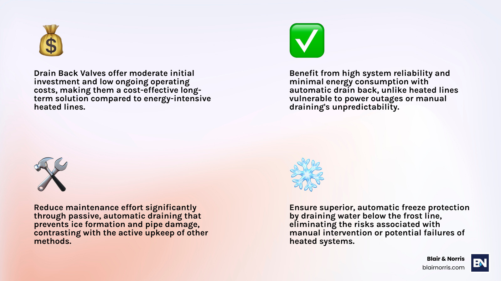 Deep Well Drain Back Valve: Master Freeze Protection 2025