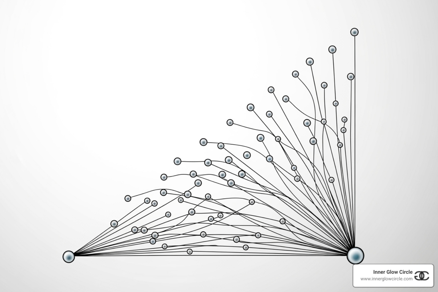 Build Professional Network: Master 5 Key Stages