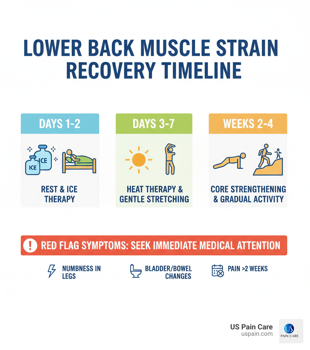 Lower Back Pain Muscle Strain Treatment: 3 Steps For Relief