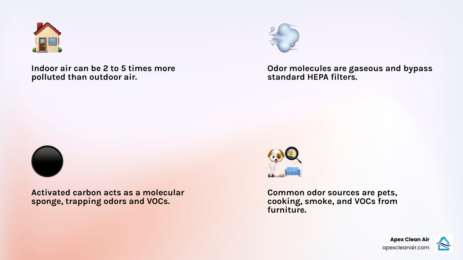 Best air purifier for odor elimination: Ultimate Guide 2025