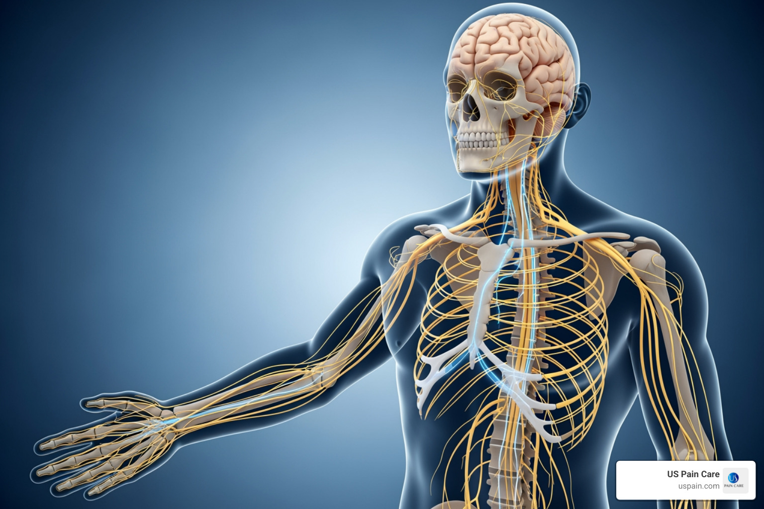 An Overview Of Treatment Approaches For Chronic Pain Management 5 Top