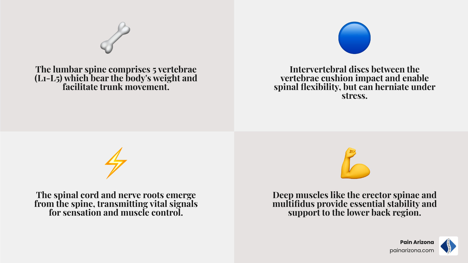 Lower back pain and physiotherapy: 1st Step to Relief