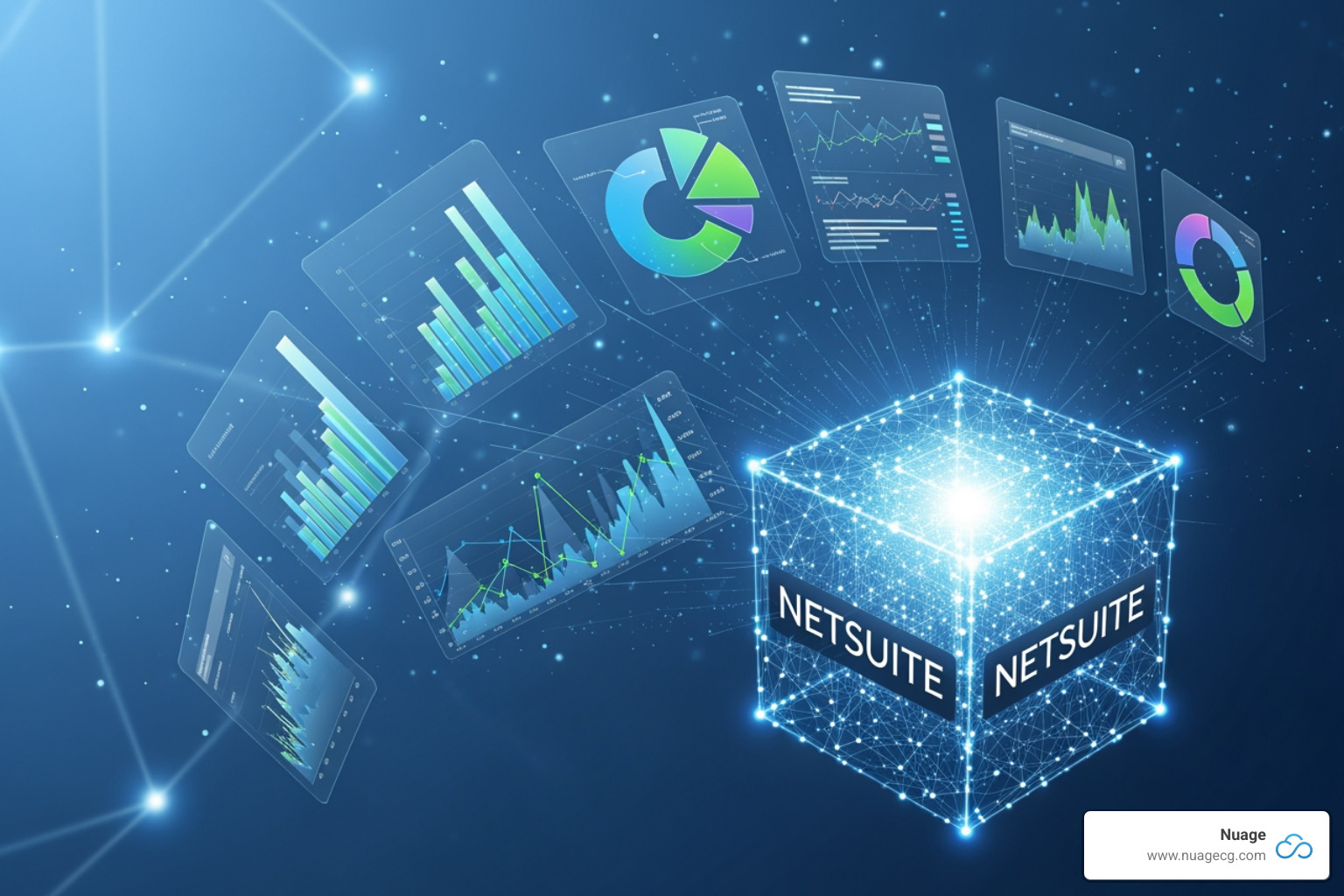 NetSuite reporting capabilities: Unveiled Insights 2025