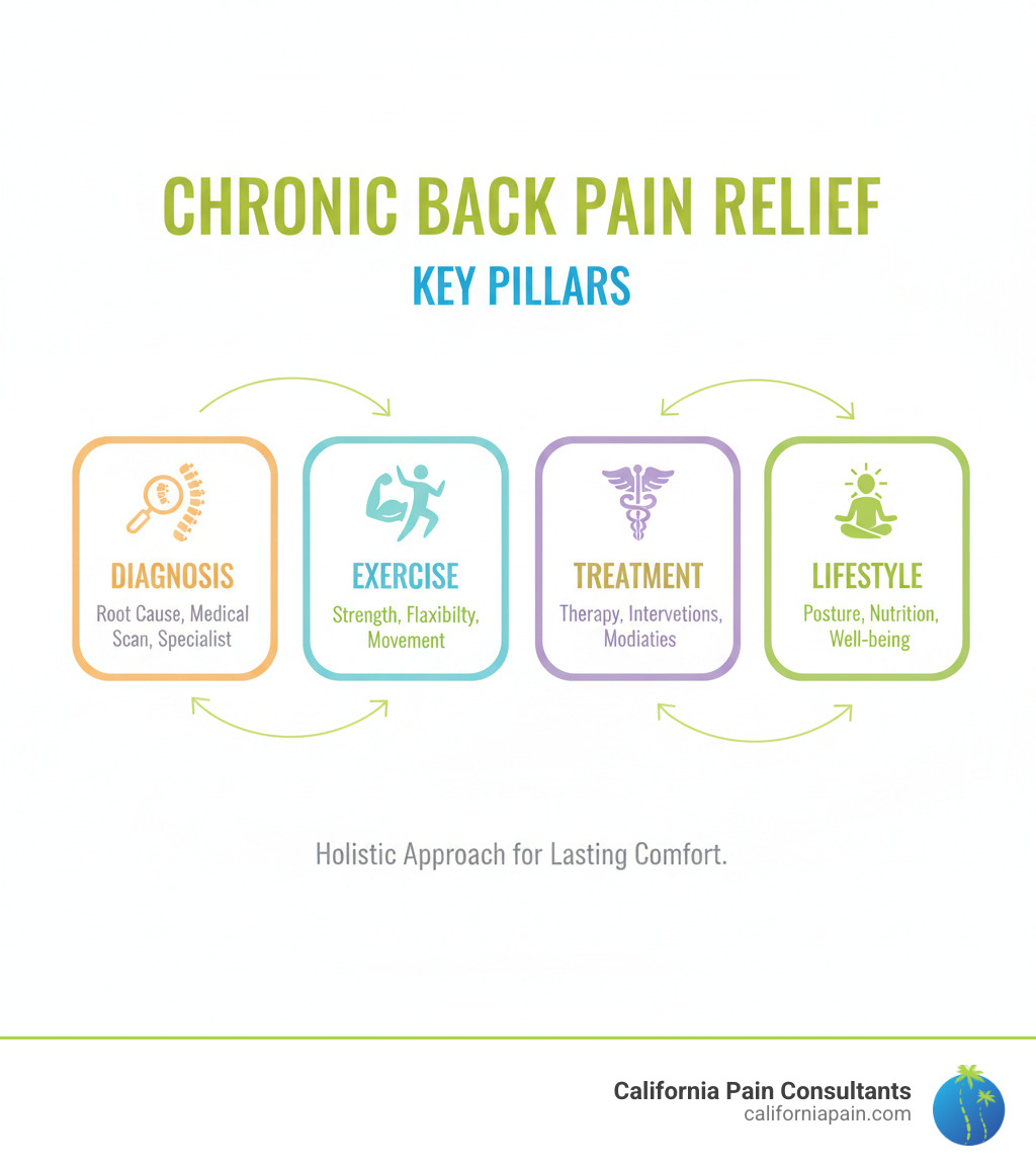 Finally Free: Effective Strategies for Chronic Back Pain Relief