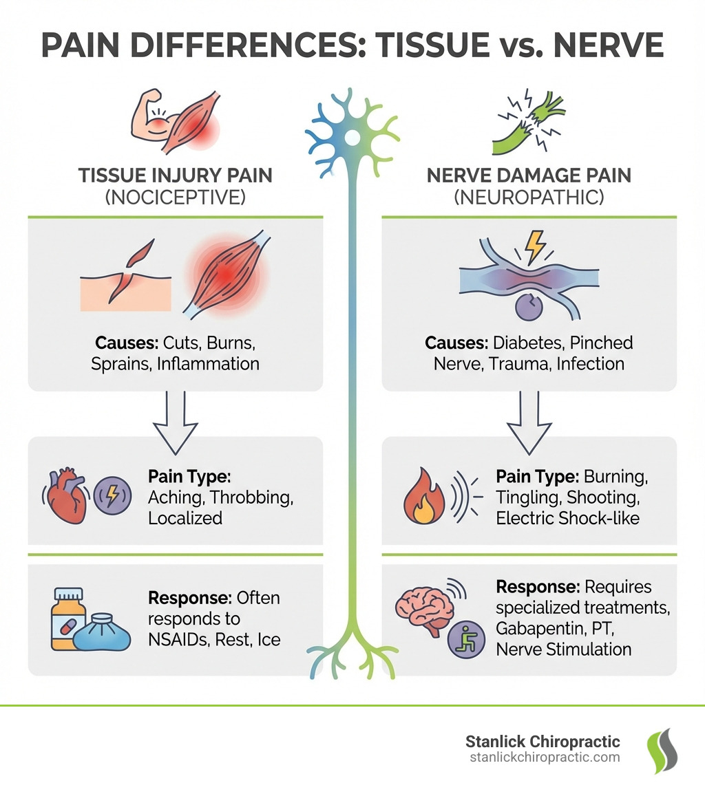 Nerve inflammation treatment: Vital Recovery 2025