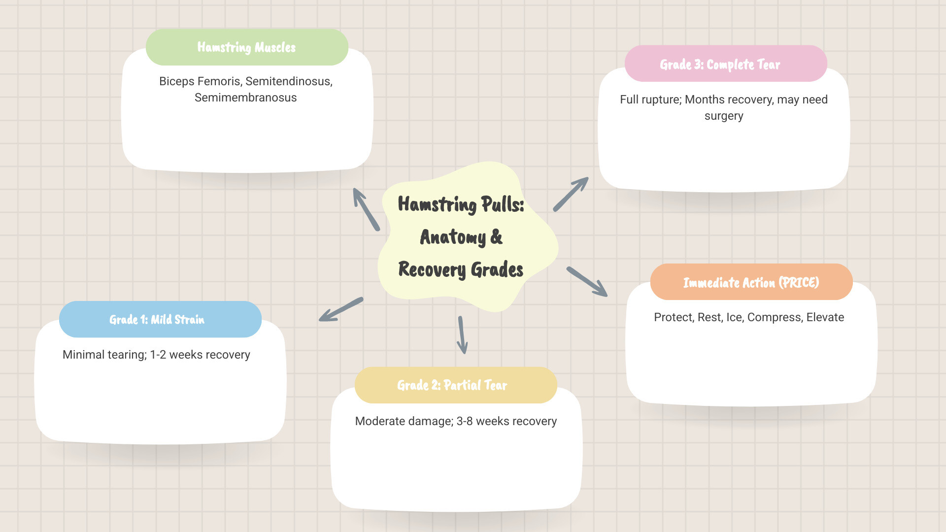 Recovery for Hamstring Pull: 3 Vital Steps! – Neuropasil
