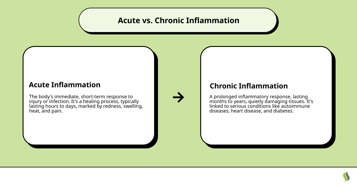 The Ultimate Guide to Inflammation Treatment - Stanlick Chiropractic