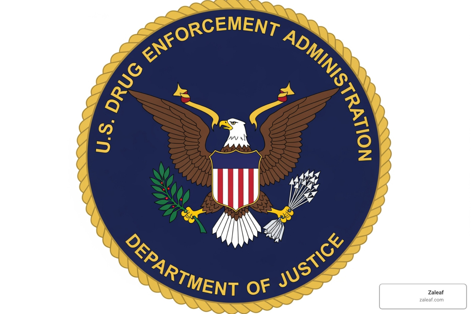 Is cannabis a drug or supplement 2025: Vital Clarity – Z3PL