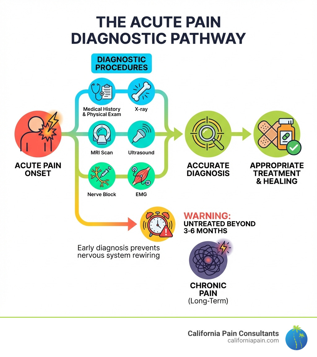 The Pain Detective's Toolkit: Acute Pain Diagnostic Procedures ...
