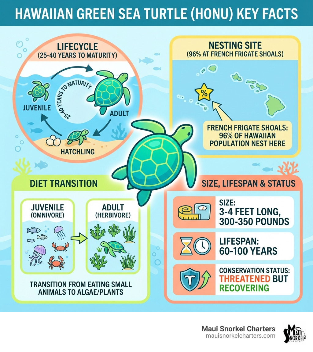 From Honu to Hard Shell: Everything You Need to Know About Hawaiian Green