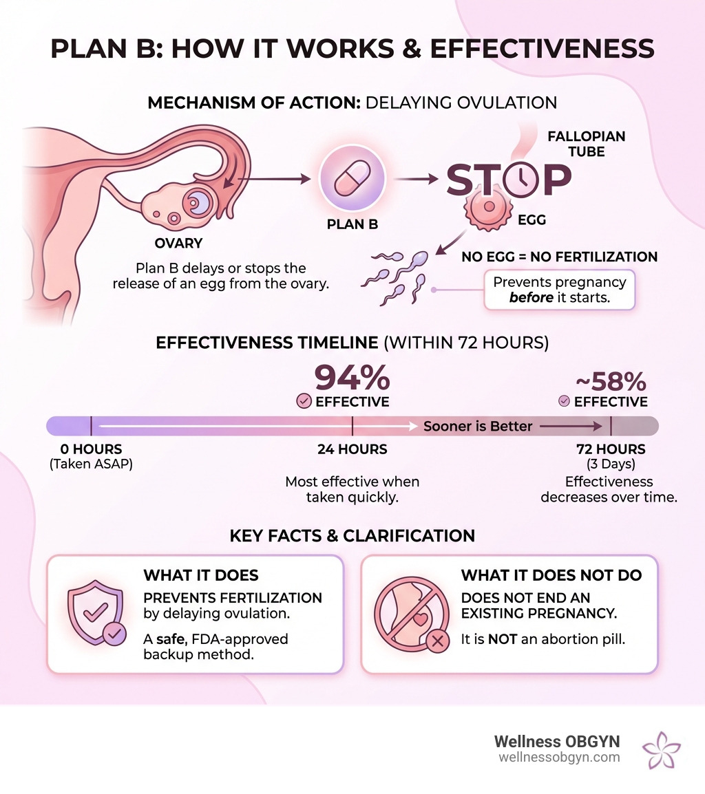 Oops! A Quick Guide to Plan B and How It Works - Wellness OBGYN
