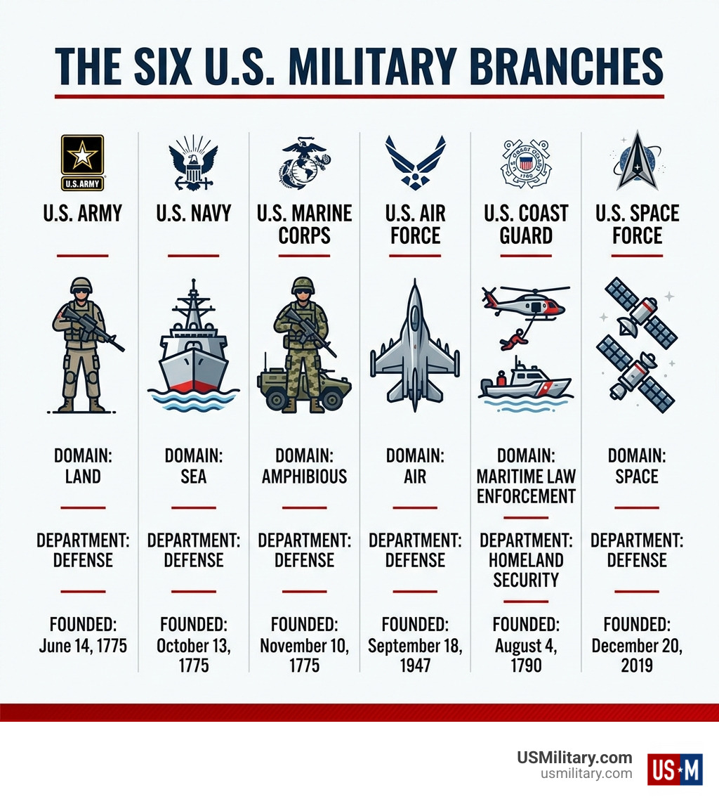 Learn About The US Military Branches: 6 Essentials