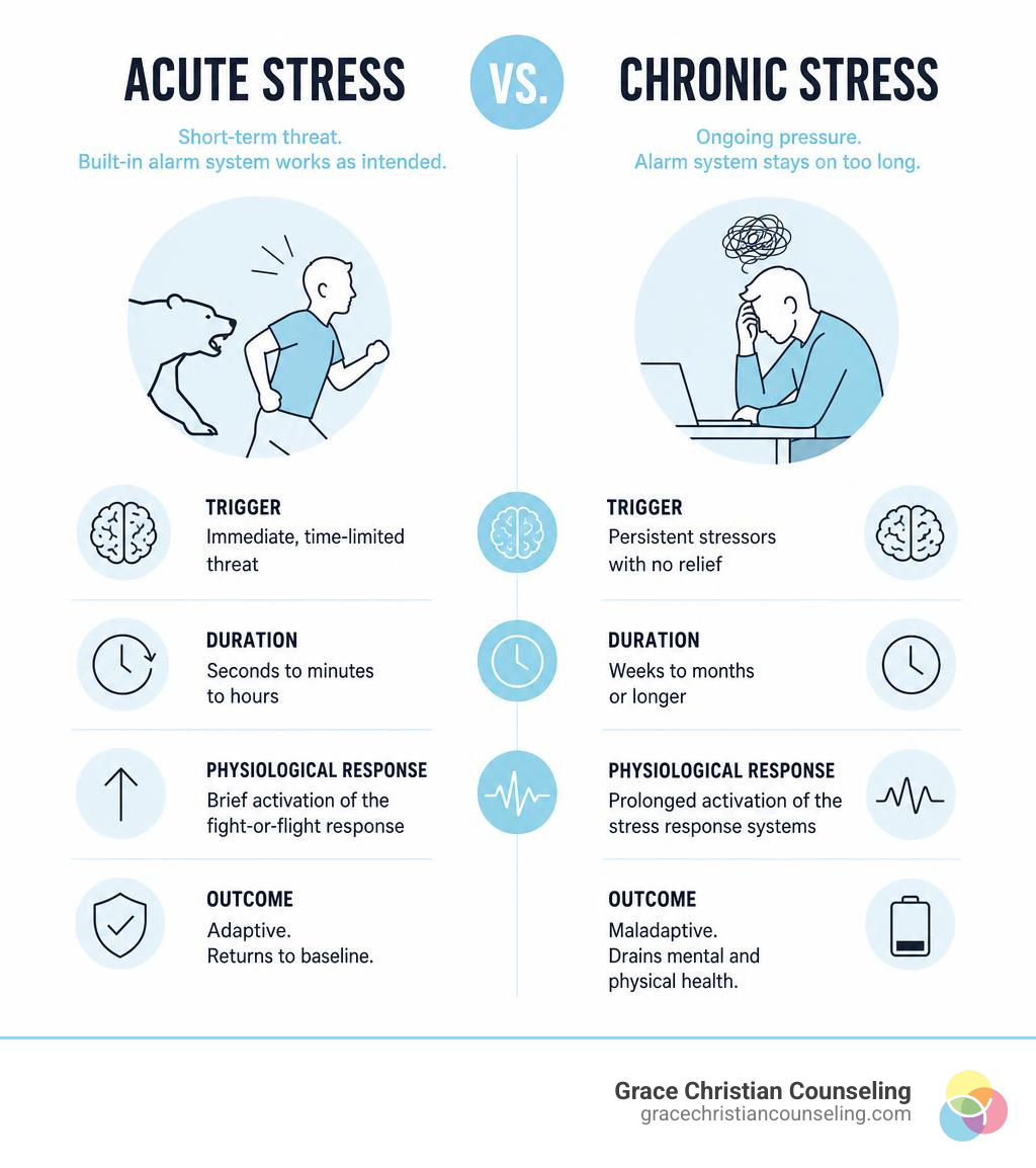 Fight or Flight Response Stress: 4 Fs Explained