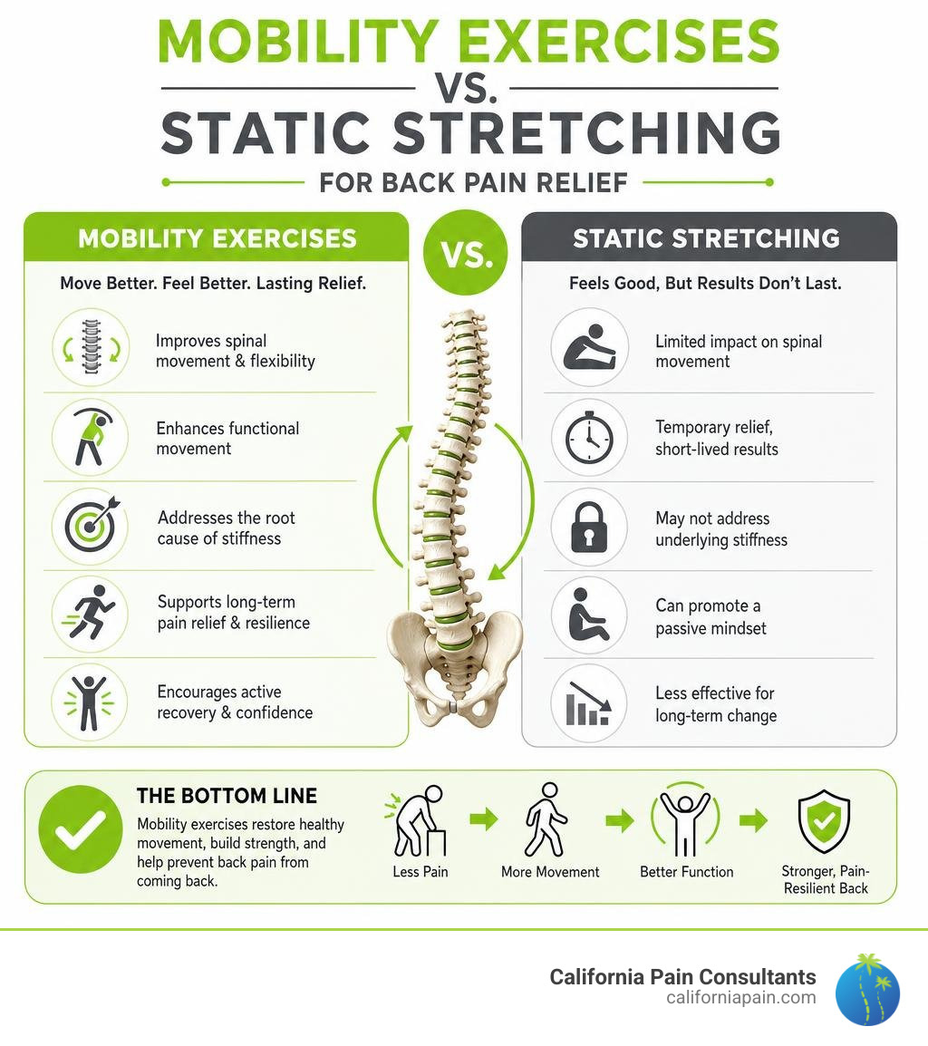 5 Essential Mobility Back Exercises for Fast Relief