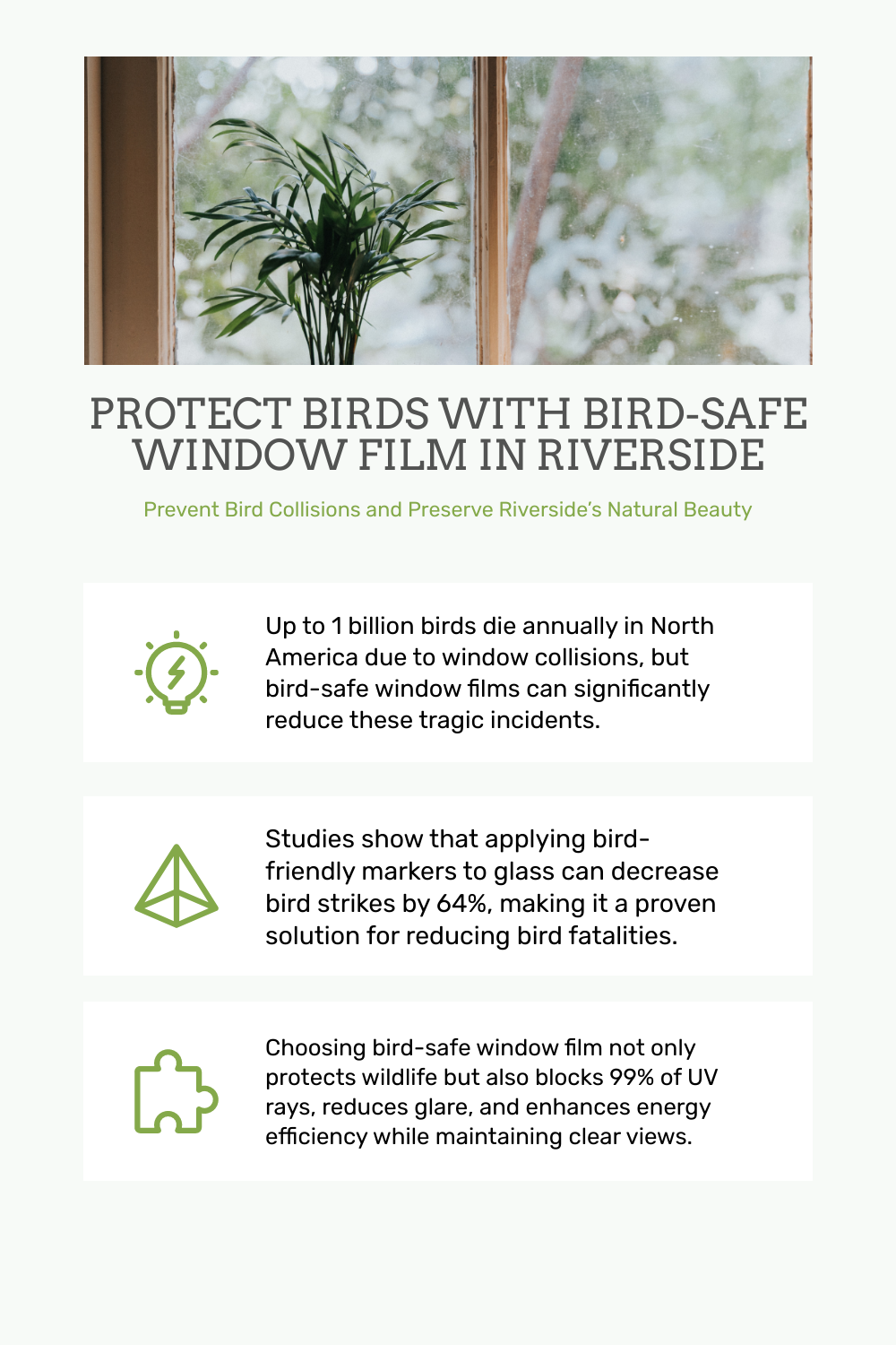 Bird Window Film in Riverside: Protect Local Wildlife - Riverside ...