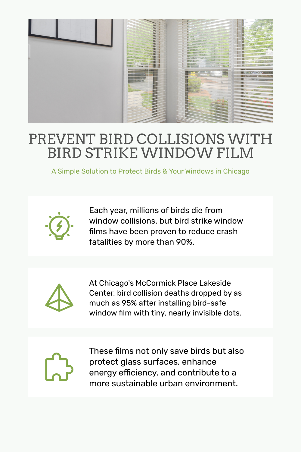 Bird Strike Window Film in Chicago: Protect Birds & Glass - Window Film ...
