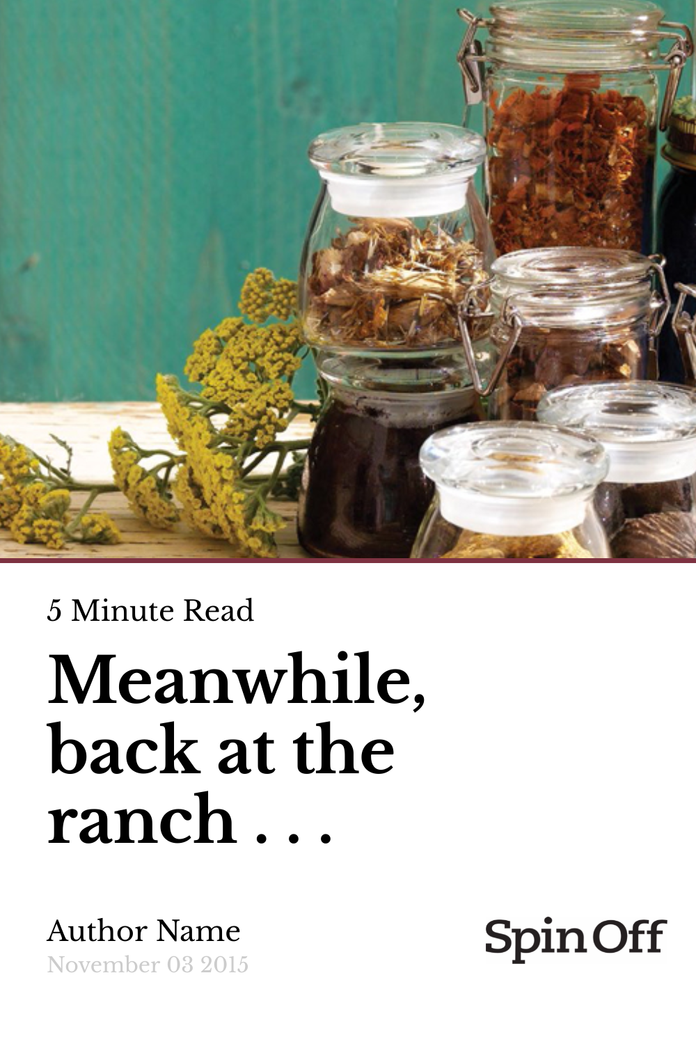 Meanwhile, back at the ranch . . . | Spin Off