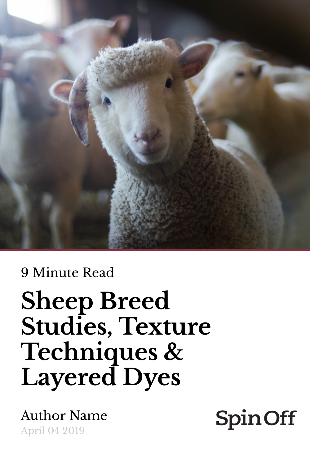 Sheep Breed Studies, Texture Techniques & Layered Dyes | Spin Off