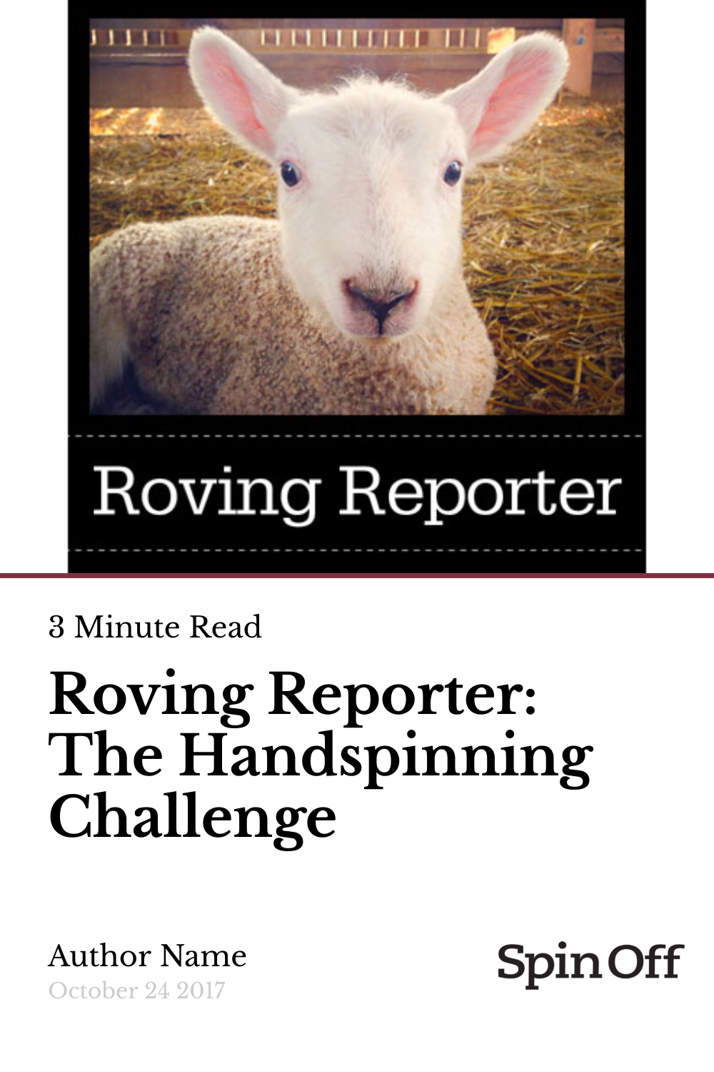 Roving Reporter: The Handspinning Challenge | Spin Off