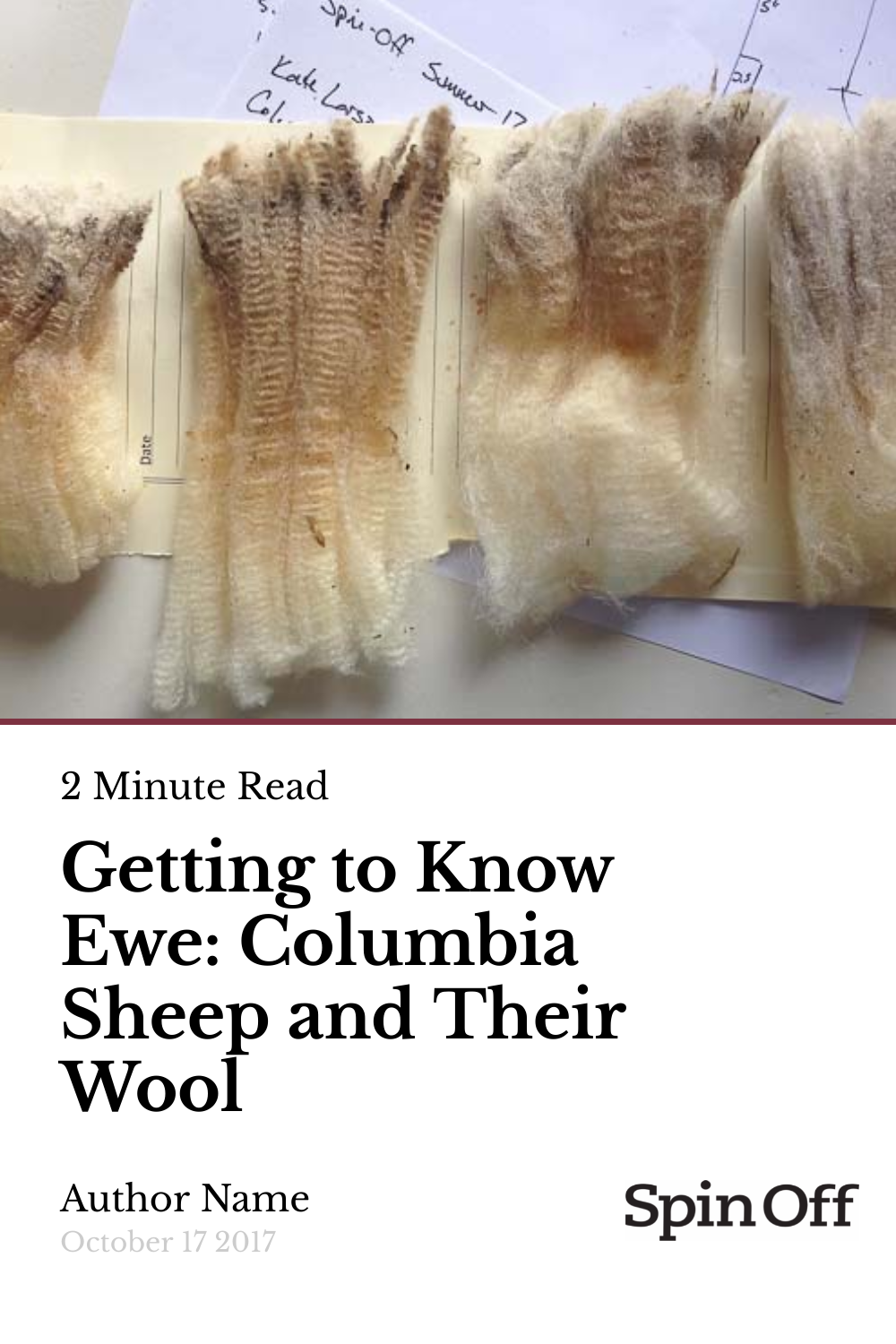 Getting to Know Ewe: Columbia Sheep and Their Wool | Spin Off