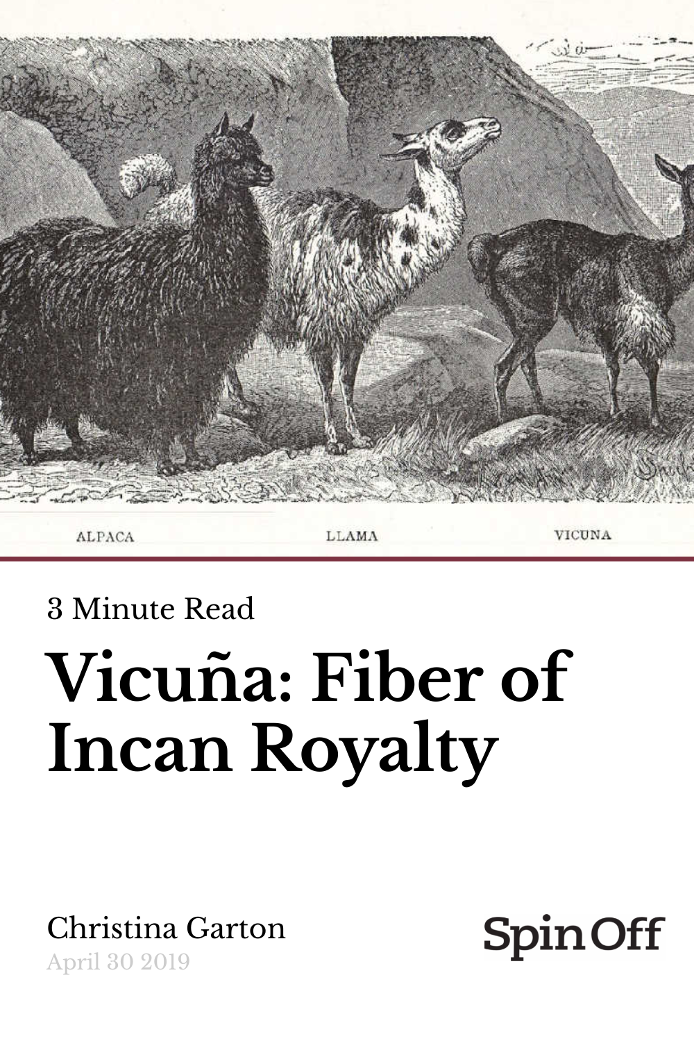 Vicuña: Fiber of Incan Royalty | Spin Off