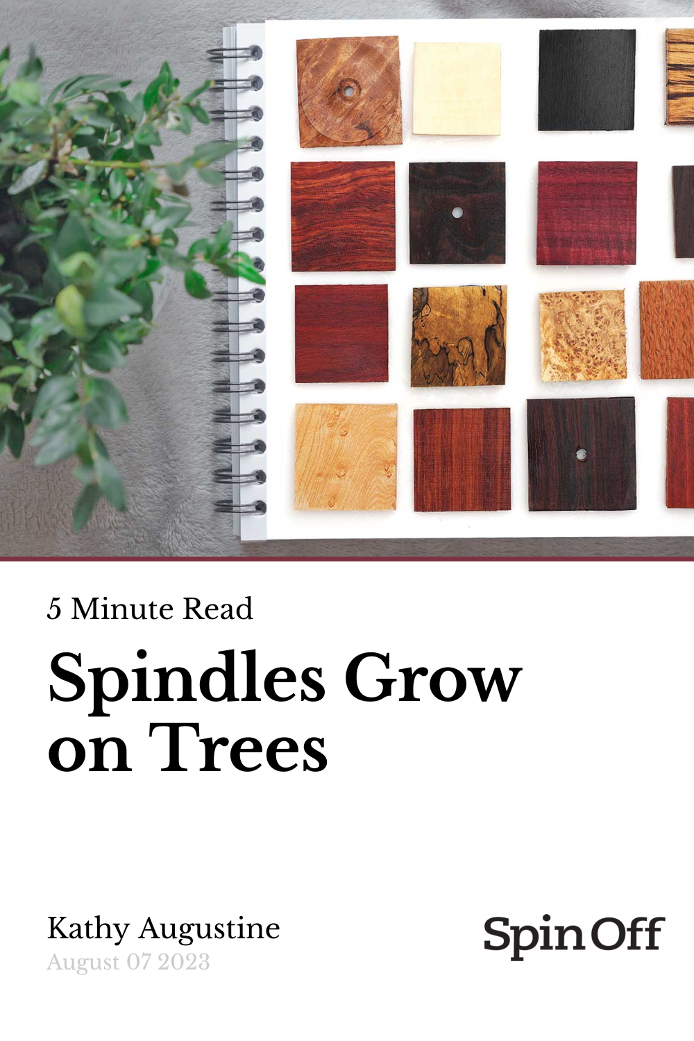 Spindles Grow on Trees | Spin Off