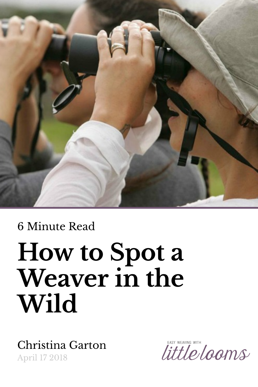 How to Spot a Weaver in the Wild | Little Looms