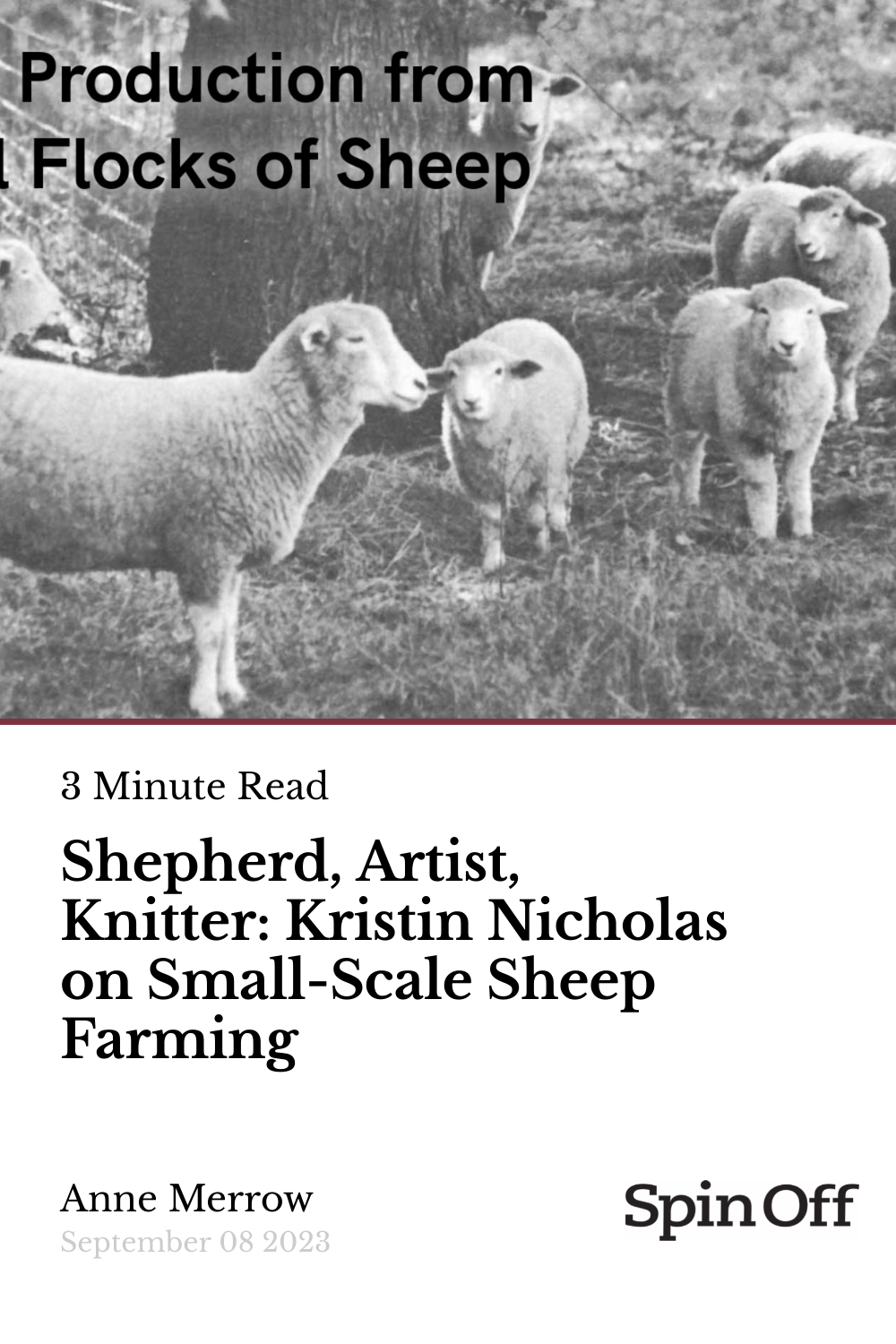 Shepherd, Artist, Knitter: Kristin Nicholas on Small-Scale Sheep ...