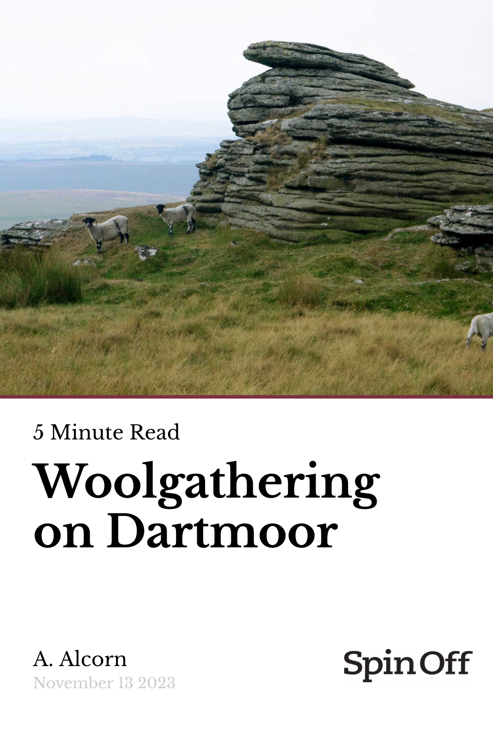 Woolgathering on Dartmoor | Spin Off