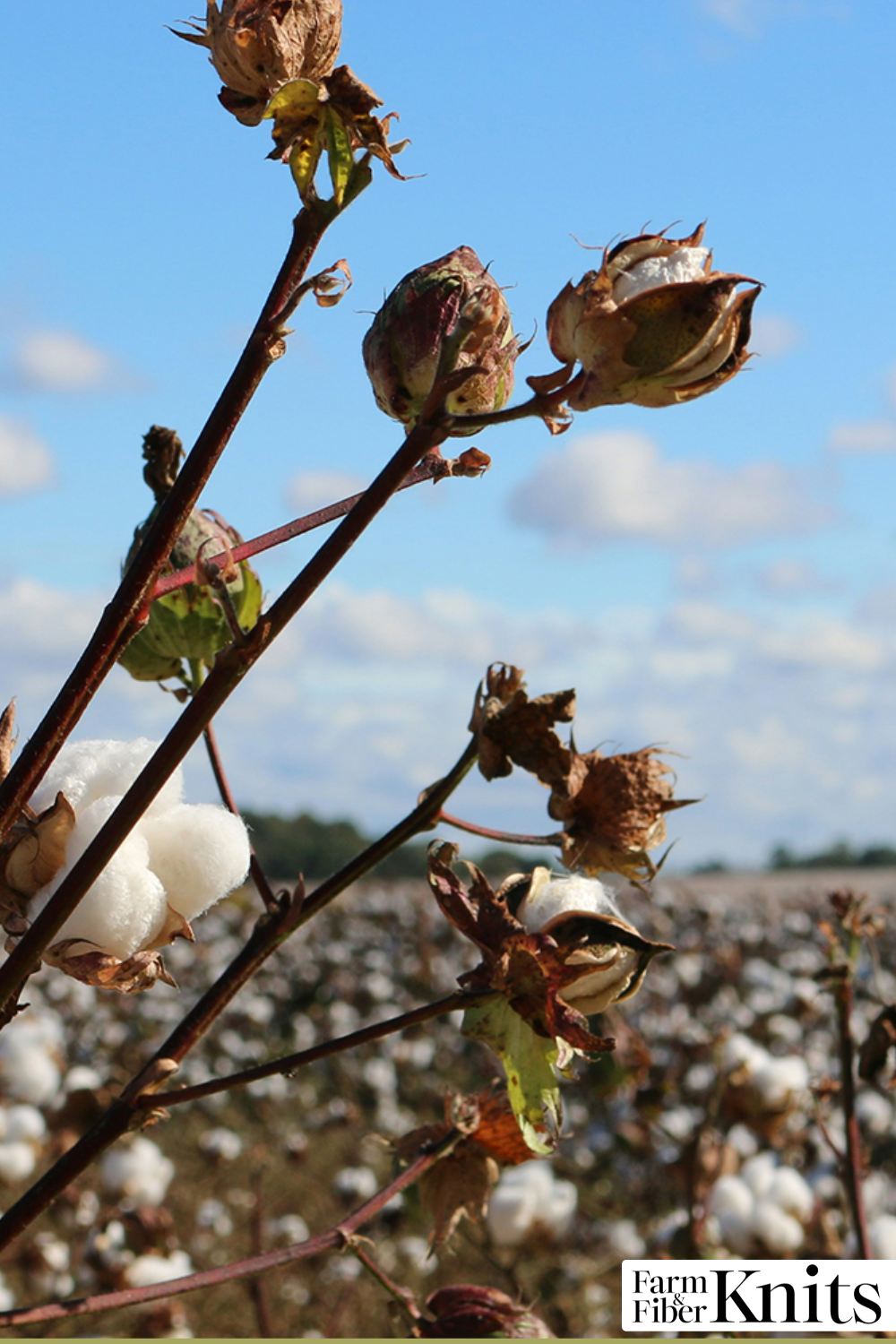 Breezy Knitting with Cotton and Linen | Farm & Fiber Knits