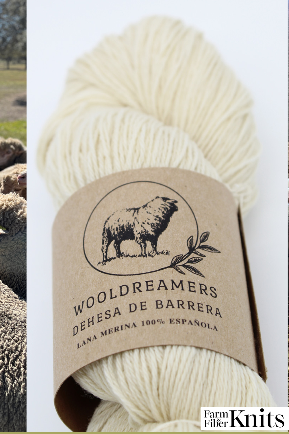 Reinventing Spanish Wool: Meet Wooldreamers | Farm & Fiber Knits