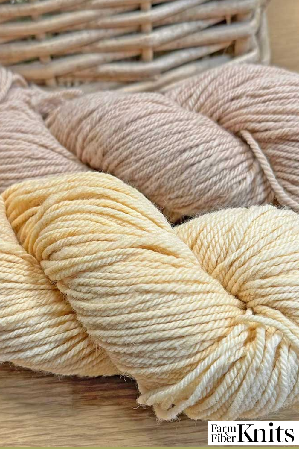 Foraging for Color: Take a Walk with a Montana Dyer | Farm & Fiber Knits