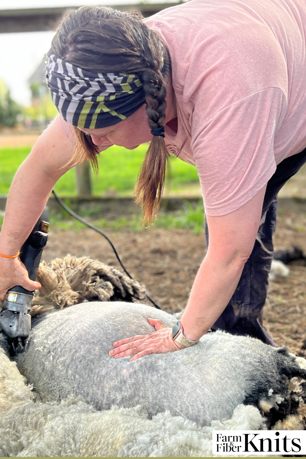 Shear Determination: What Got Me To (and Through) Shearing School ...
