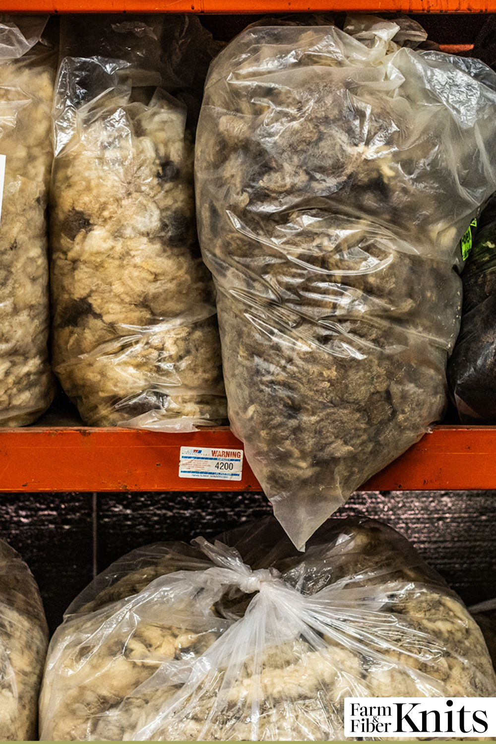 From Greasy Raw Fleece to Clean, Fluffy Wool | Farm & Fiber Knits