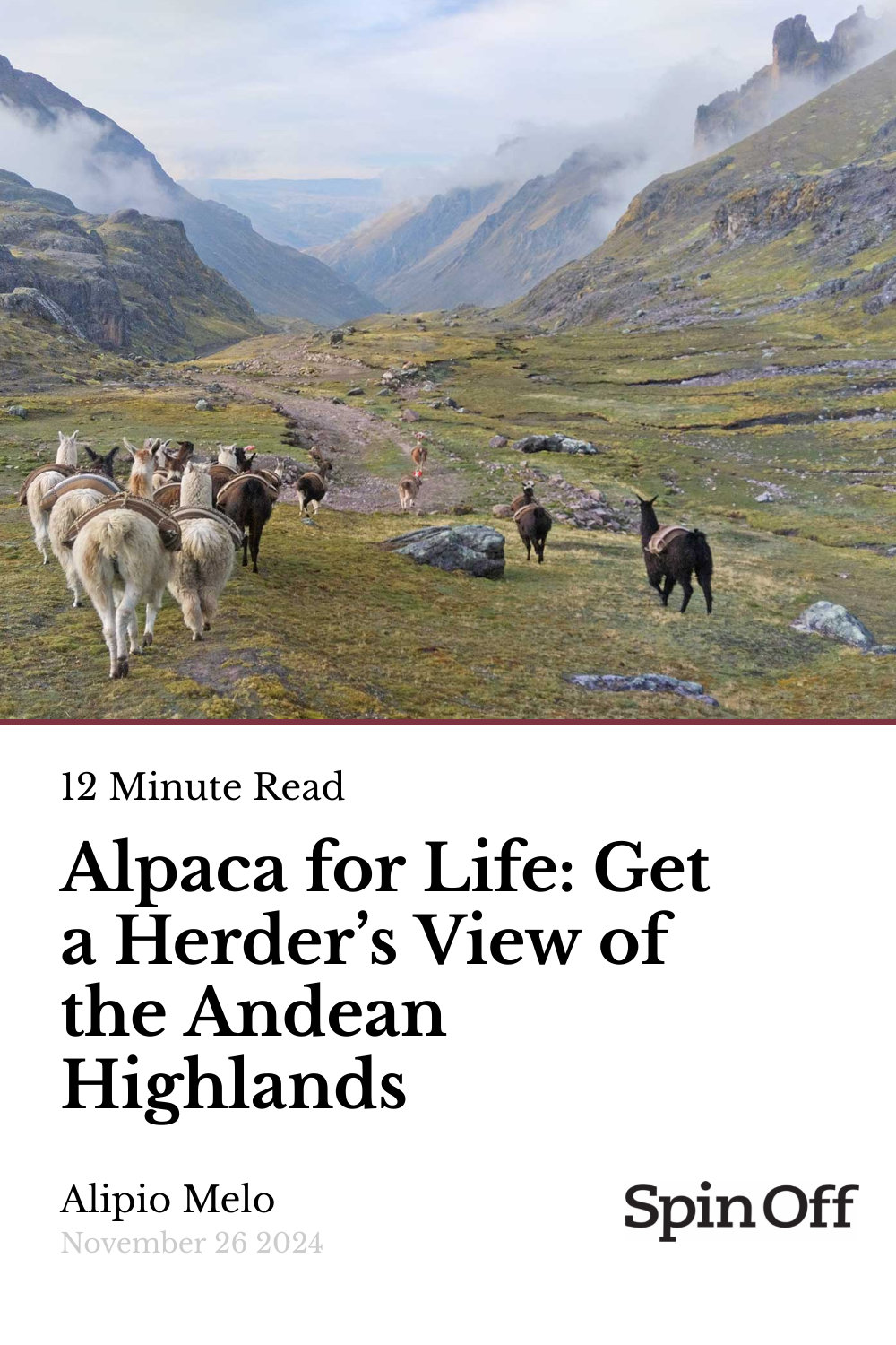 Alpaca for Life: Get a Herder’s View of the Andean Highlands | Spin Off