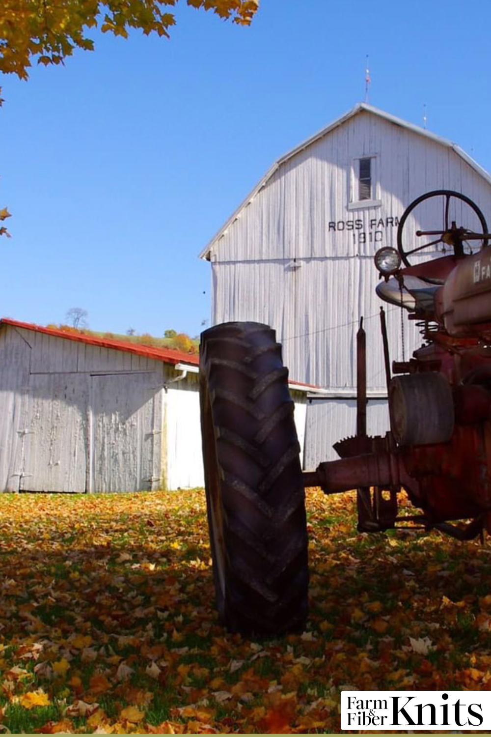 The Exceptional Fibers of Ross Farm: Meet Rare-Breed Champion Amy Ross ...