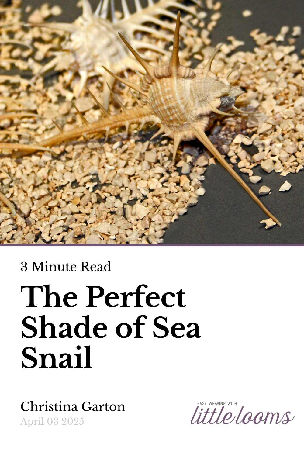 The Perfect Shade of Sea Snail | Little Looms