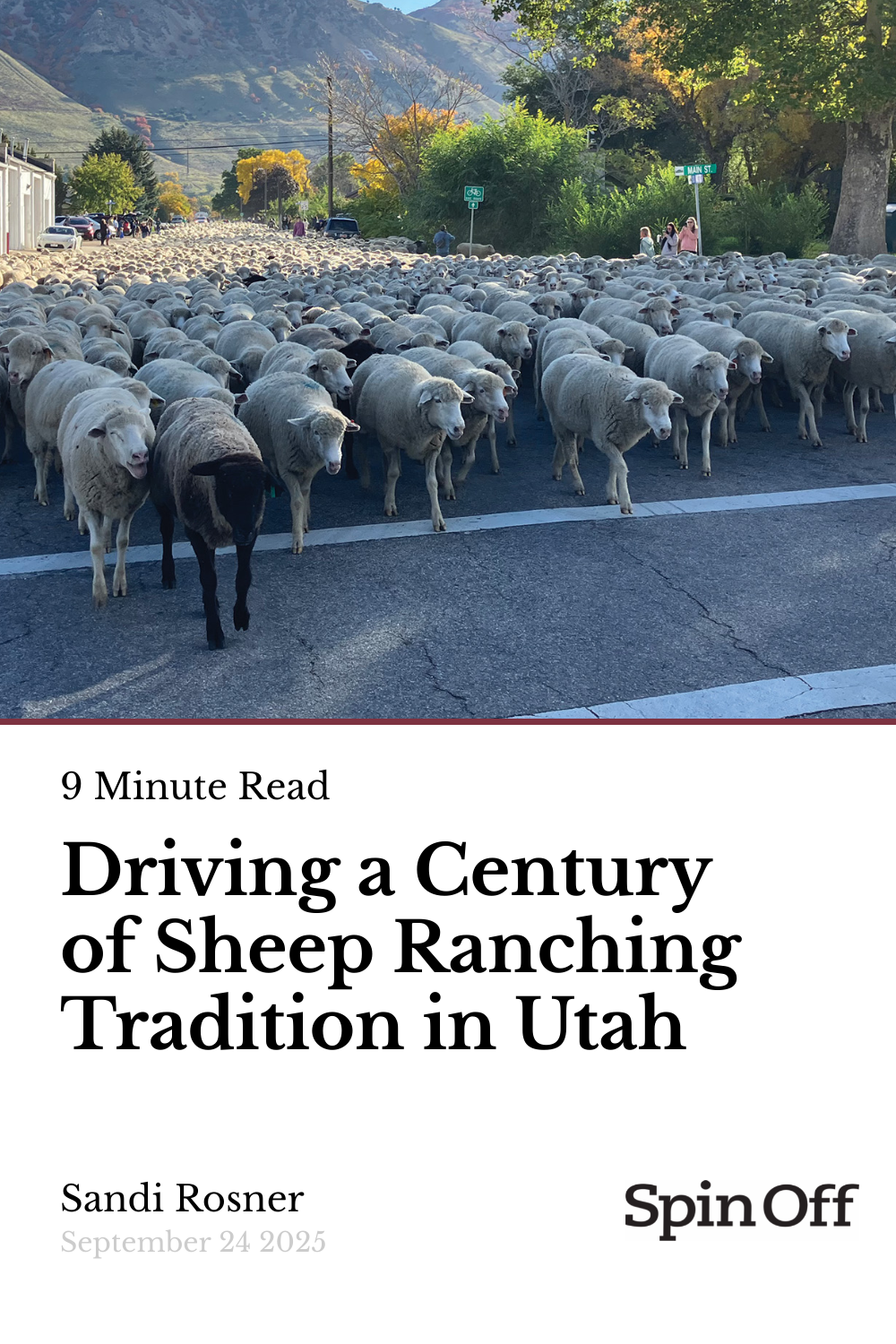 Driving a Century of Sheep Ranching Tradition in Utah | Spin Off